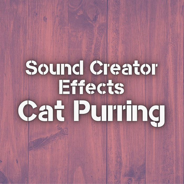 Cat Purring | Sound Creator (Royalty-Free Effects)