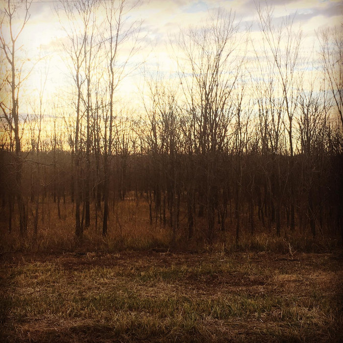 Thisness Demo 2019 | THISNESS