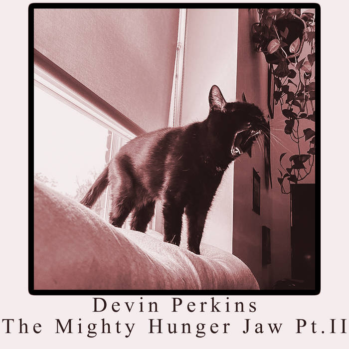 Music | Devin Perkins