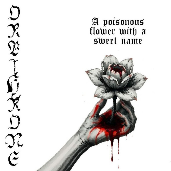 A poisonous flower with a sweet name | Orbthrone | MIDNIGHT STALK ...