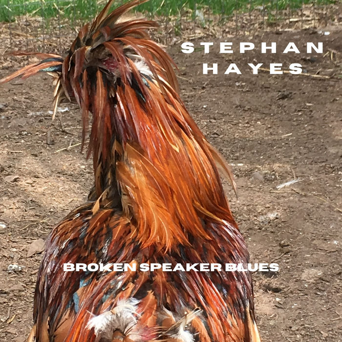 Broken Speaker Blues by Stephan Hayes | The Good Problems