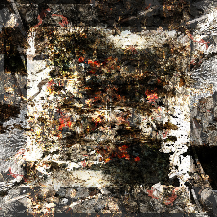 The Collections pt.1 | Harry Ovington