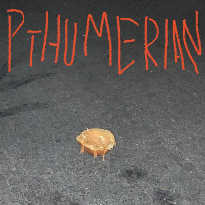 demos | PTHUMERIAN