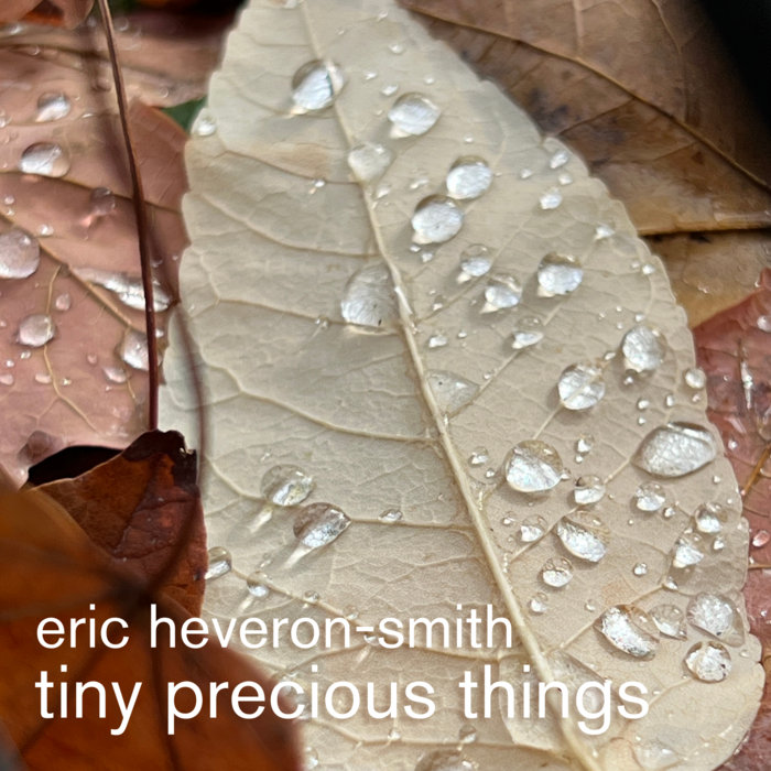 tiny precious things | Eric Heveron-Smith