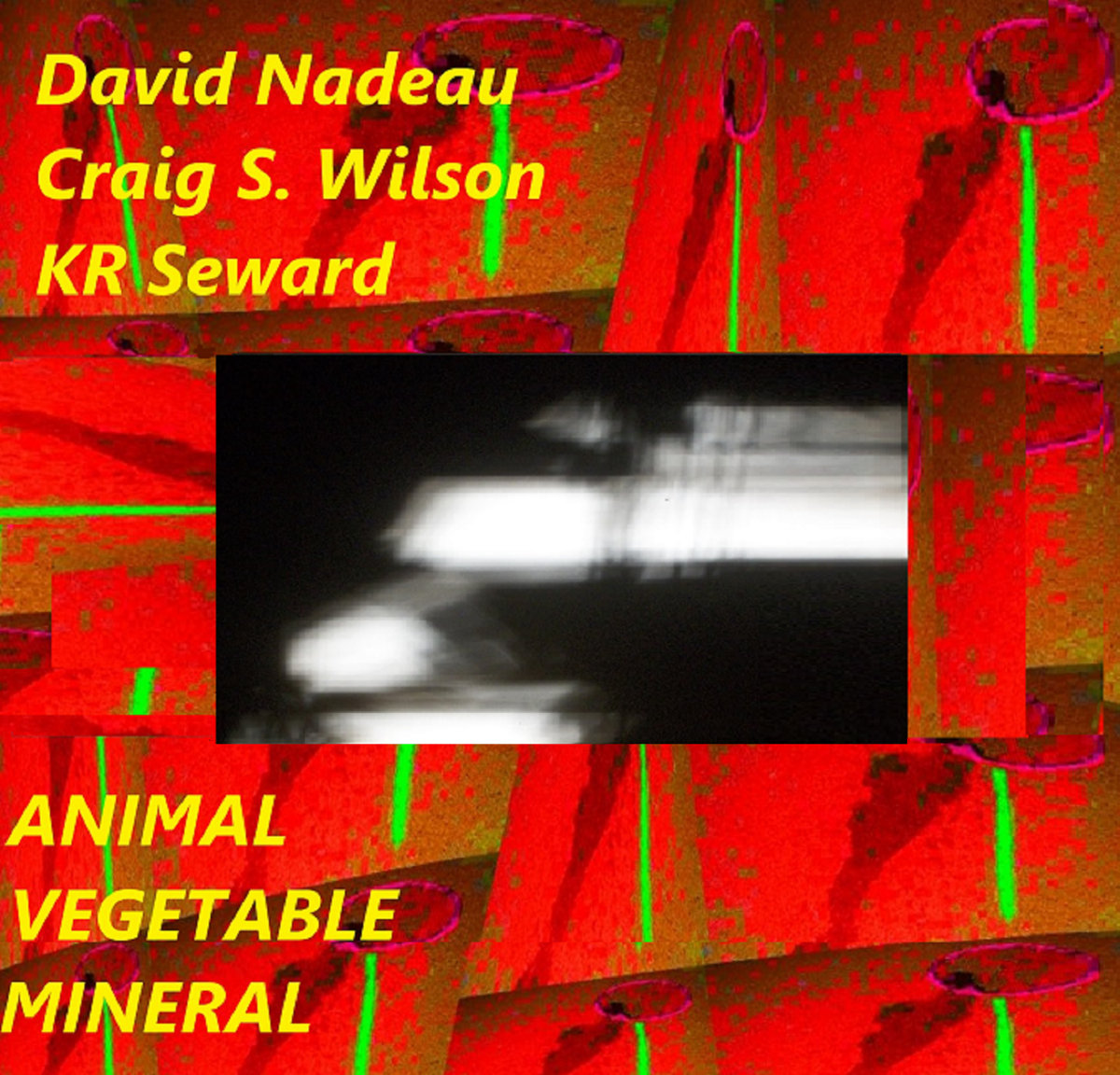 Animal Vegtable Mineral | Craig S. Wilson / David Nadeau / K.R. Seward ...