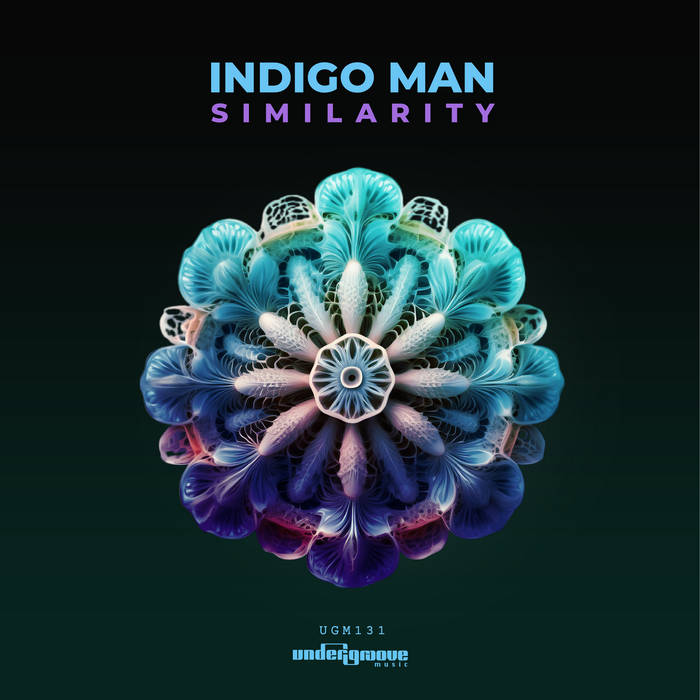 Similarity | Indigo Man | Undergroove Music