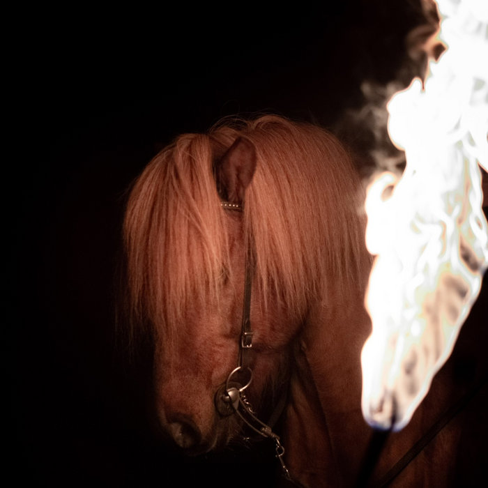 Ég er kominn heim | Keith Houston & Lala Boosh