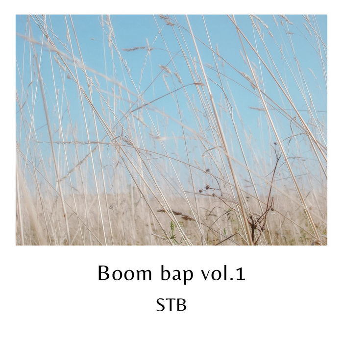 Boom Bap Vol 1 Stb