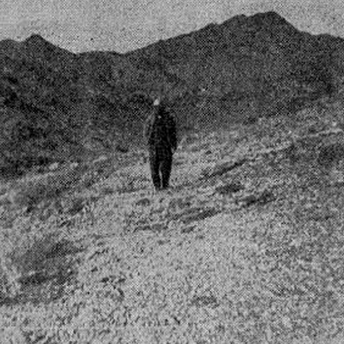 Tracks On The Desert | Oaks of Bethel | EEE Recordings