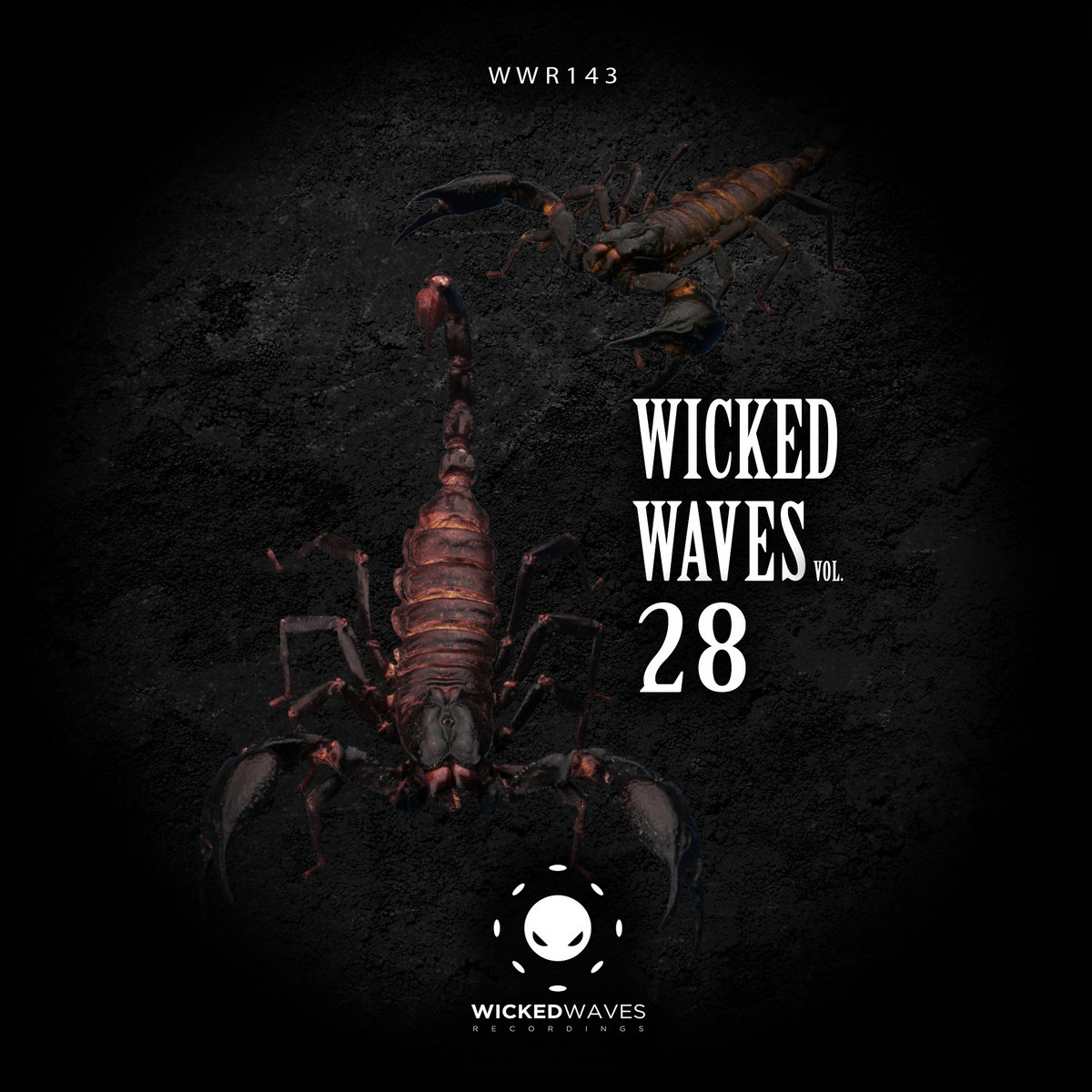 Wicked Waves Vol. 28 [Wicked Waves Recordings] | Various Artists ...
