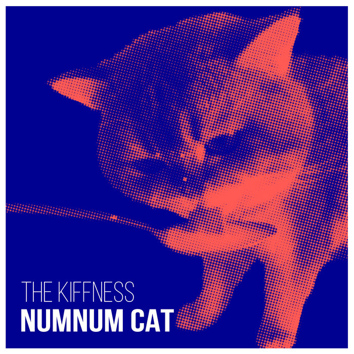 The Kiffness - Numnum Cat | The Kiffness