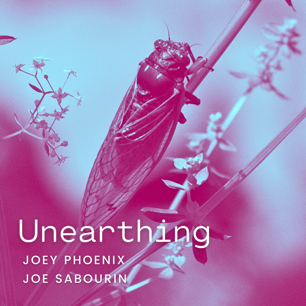 Unearthing | O Starling ft. Joe Sabourin Music | O Starling