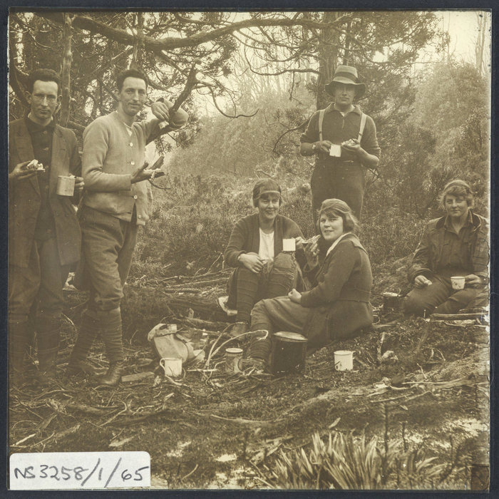 Lying Low | Anthony Kost