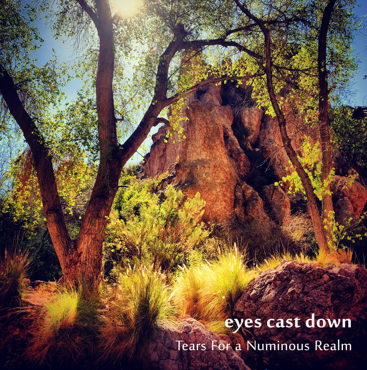 Tears For a Numinous Realm | eyes cast down