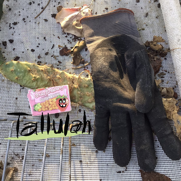Tallulah | Sour Strawberry Flavored Golden Raisins