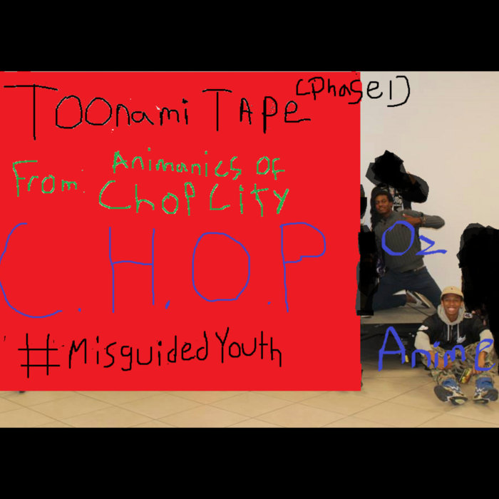 Toonami Tape (Animaniacs) Phase 1 | animaniacs of Chop City