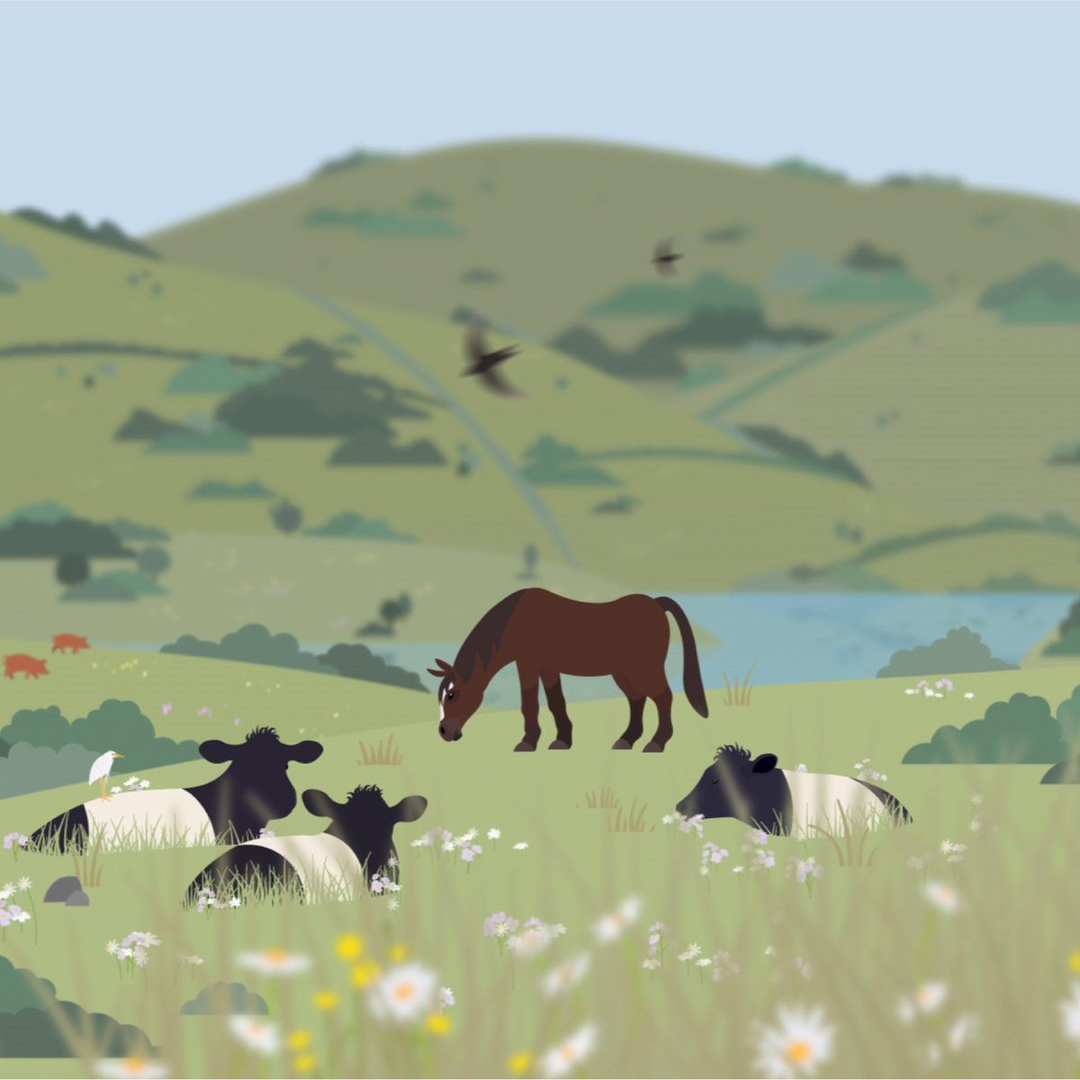 Pentwyn Farm Audio Tour (English) | Radnorshire Wildlife Trust