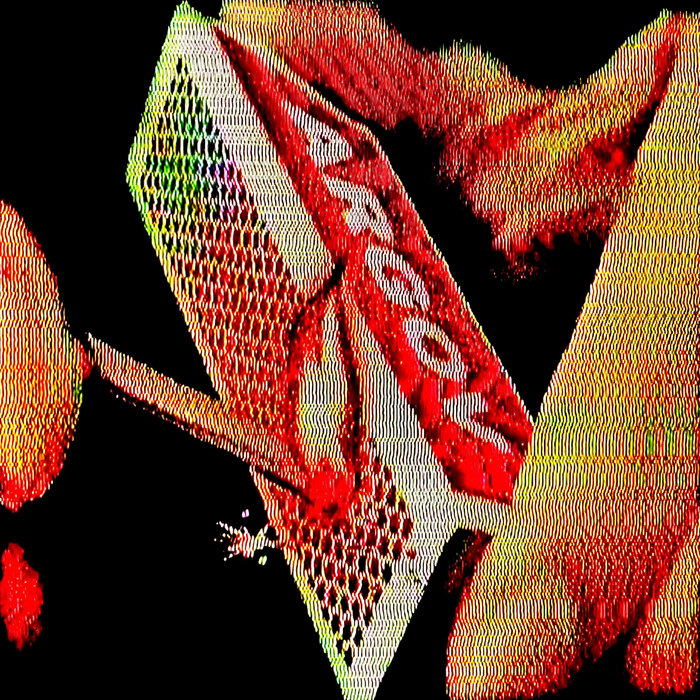 Matchbox | argov