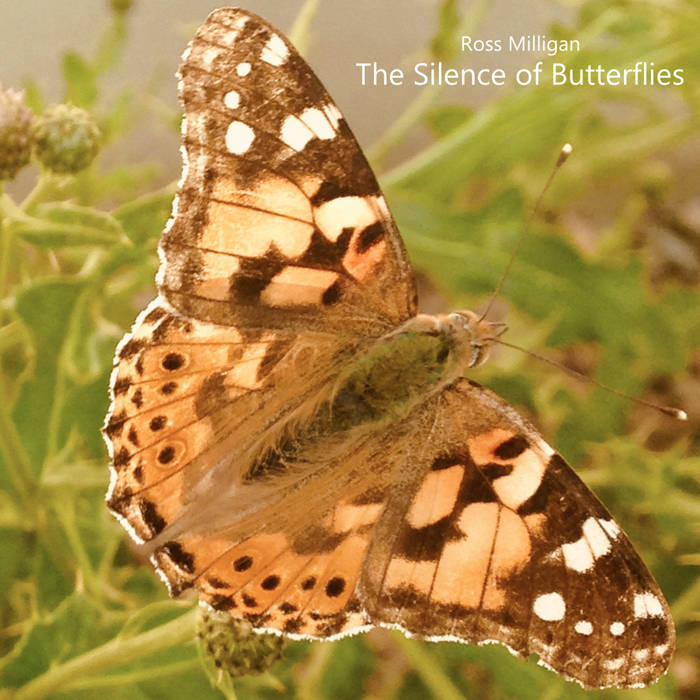 The Silence of Butterflies- (Music from the film Butterflies of Bill ...