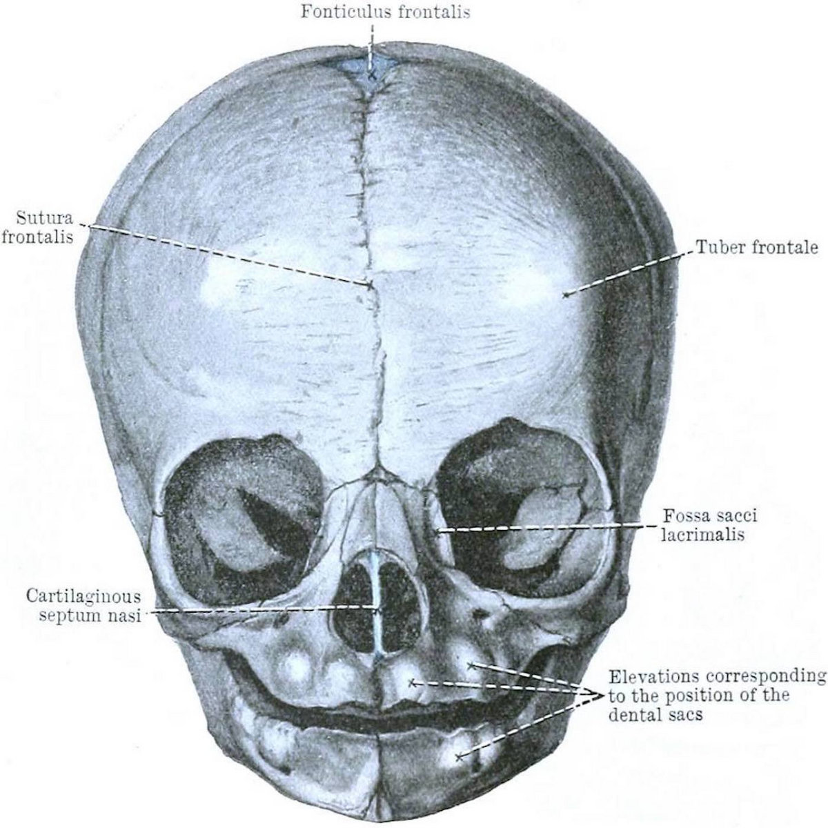 Warp Body | Schizophriend