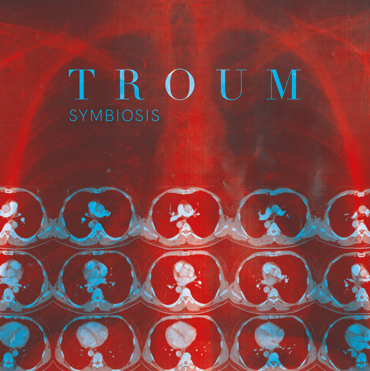 Symbiosis LP | TROUM
