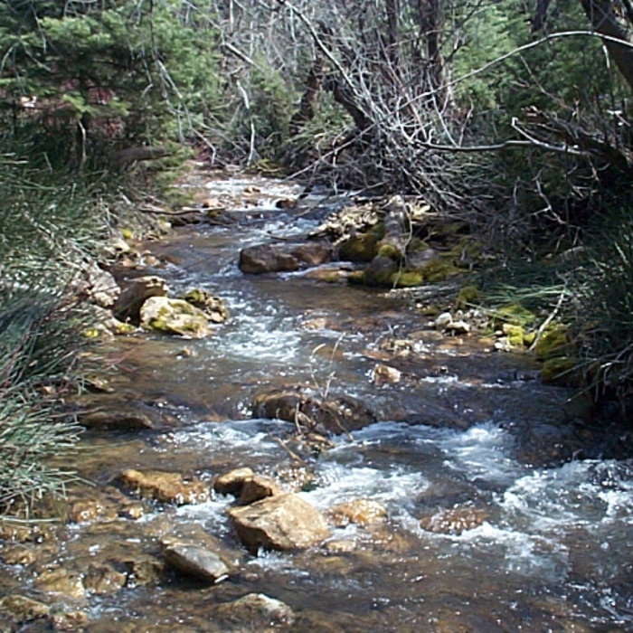 Creekbed | S.D. Williams