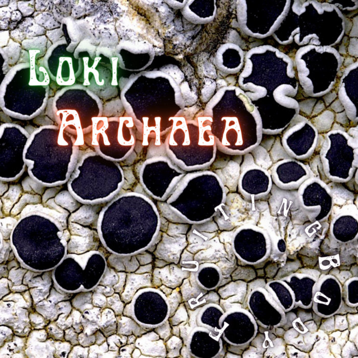 Loki Archaea | Fruiting Body