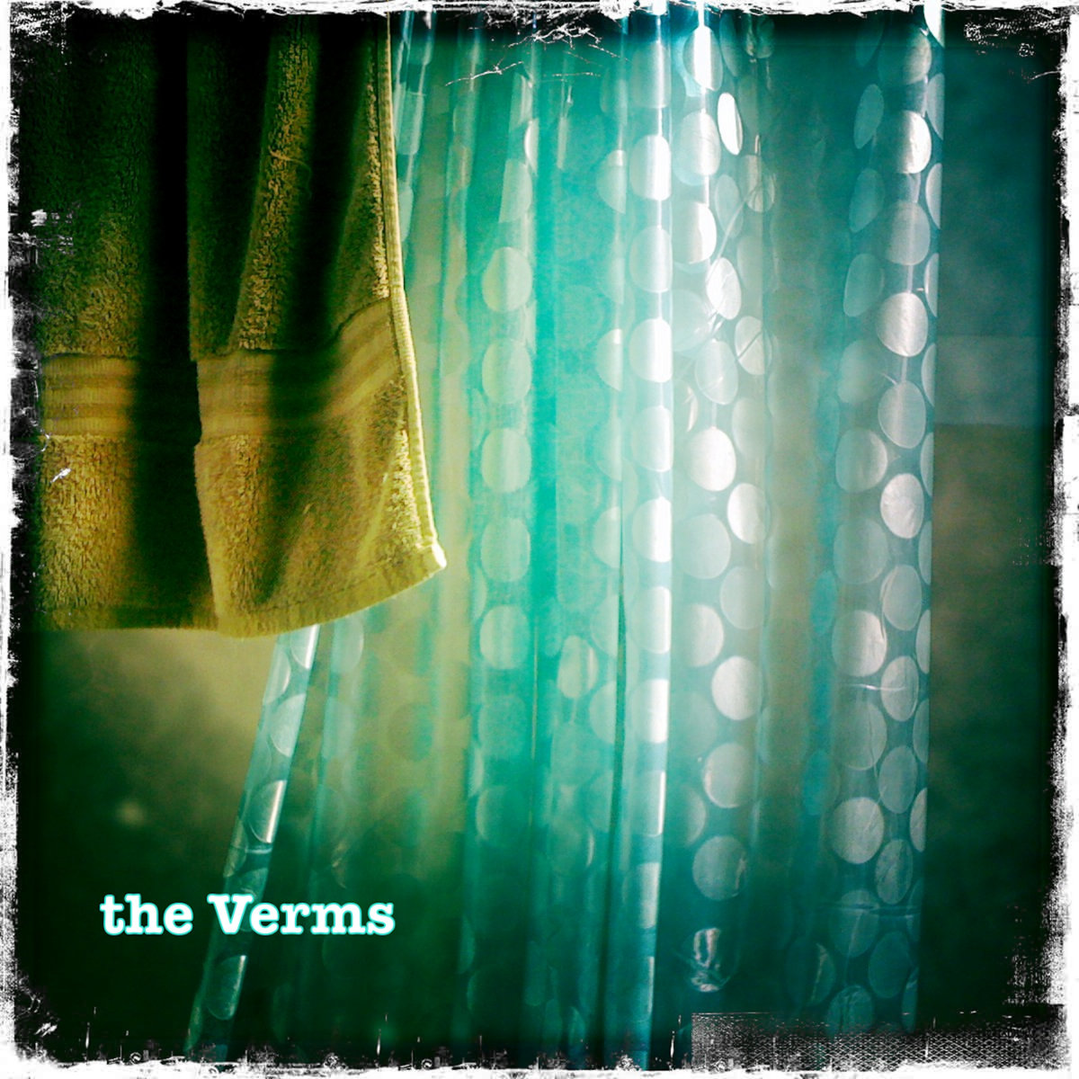 the Verms | The Verms
