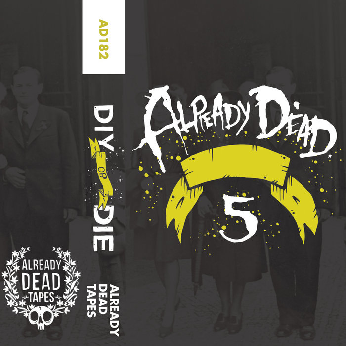 Radiator Hospital - "Will You Find Me?" | Various Artists | Already ...