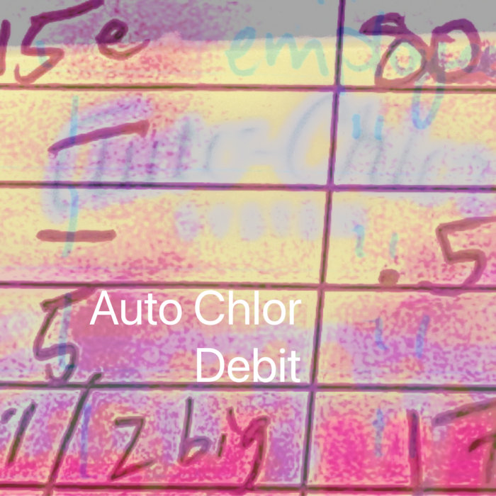 Debit | Auto Chlor