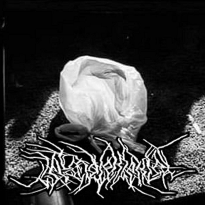 SWS (2) | Tathātā Tourist