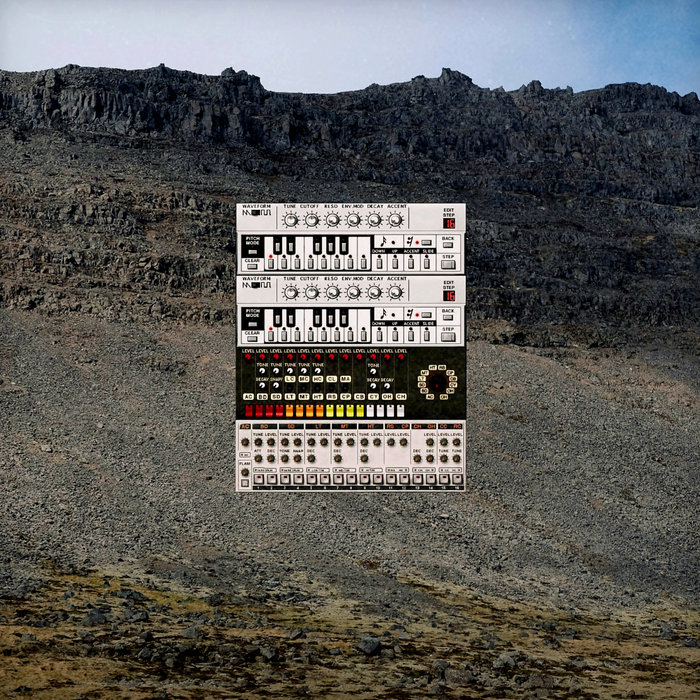 ReBirth RB-338 | Árni Grétar | Futuregrapher