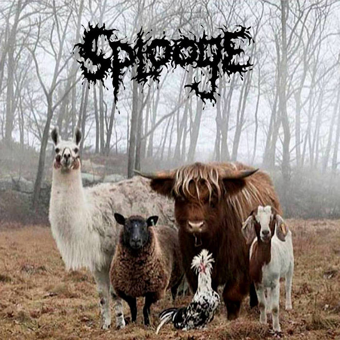 Get On My Ding Dong | Splooge