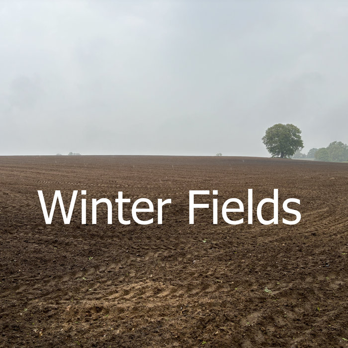 Winter Fields | Charlotte Jolly
