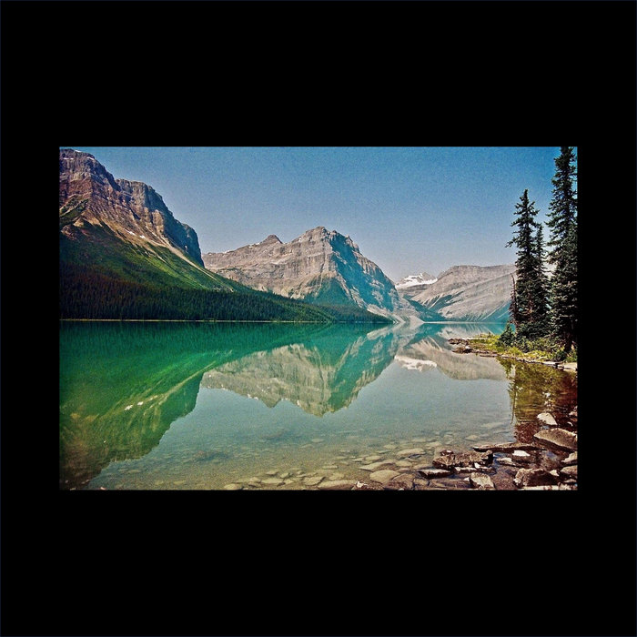 Earthbound Spirits Soar the Highest | Wool Woods