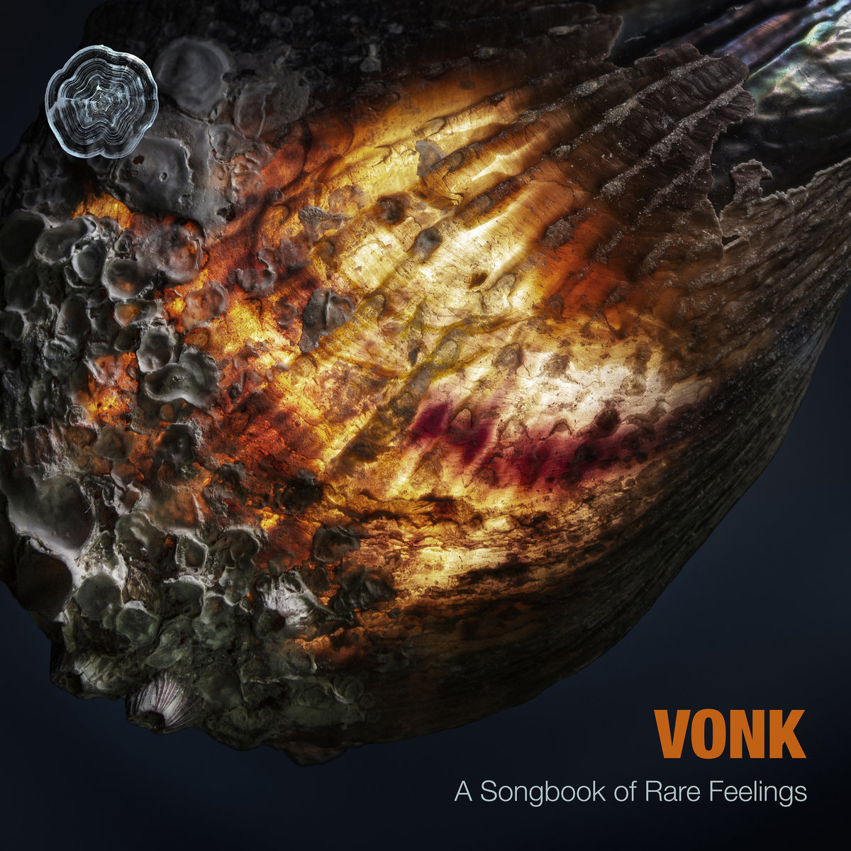 A songbook of rare feelings | VONK