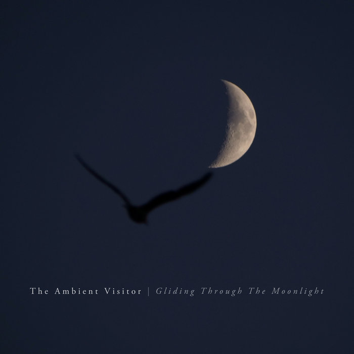 Gliding Through The Moonlight | The Ambient Visitor