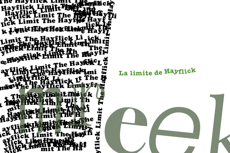 La limite de Hayflick | Mreek