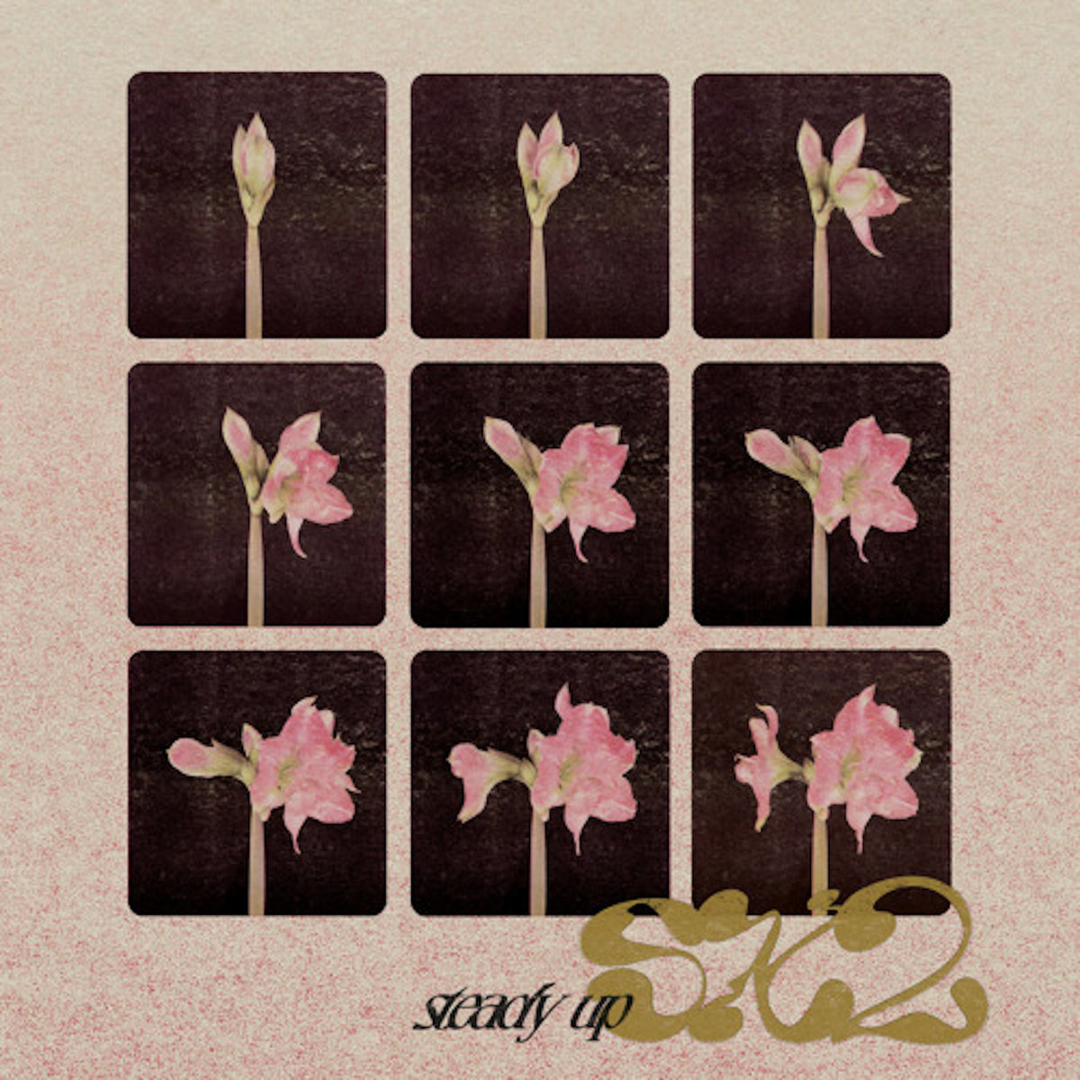 Steady Up | SX2 | Disco Halal