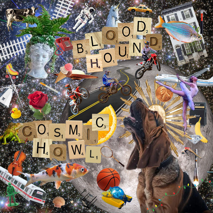 COSMIC HOWL | bloodhound