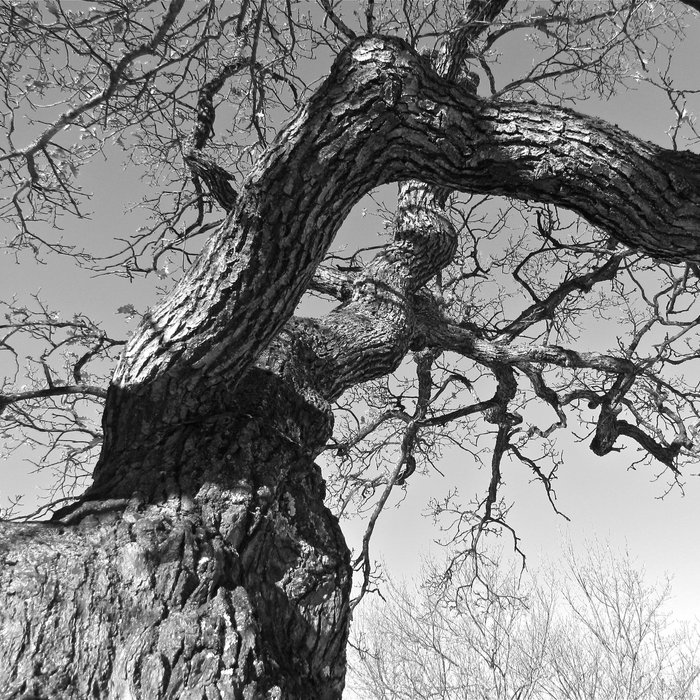 Pure black metal philosophy demo III | Sathanael