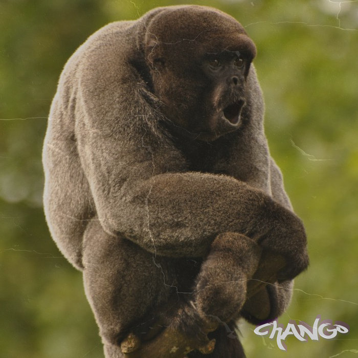 SUBFILTRONIK!!!™ - BLISIMO (CHANGO VIP) | Chango