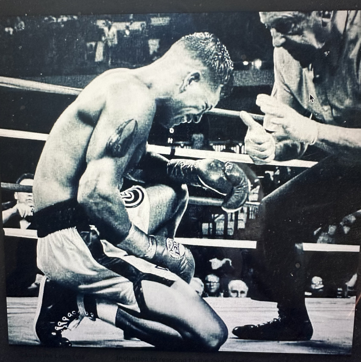 these tears are mine to own | sad boxer / daniel beker | Sad Boxer