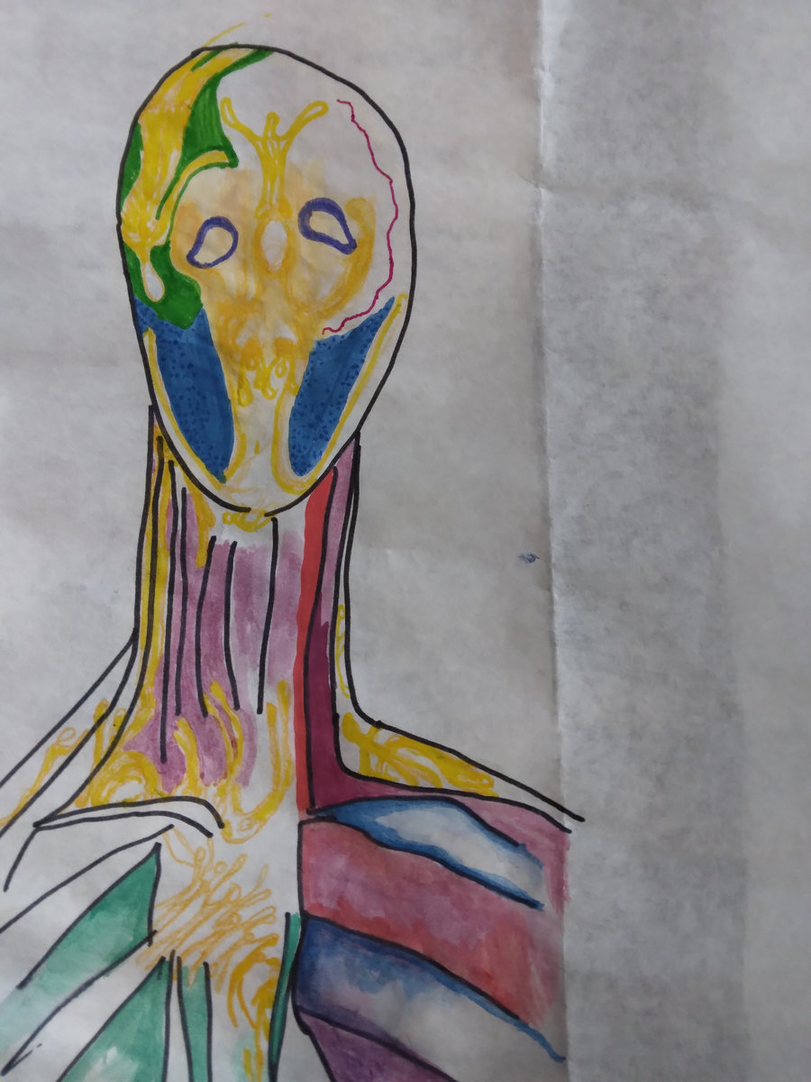 Sudden Fall | Aleah Hyer