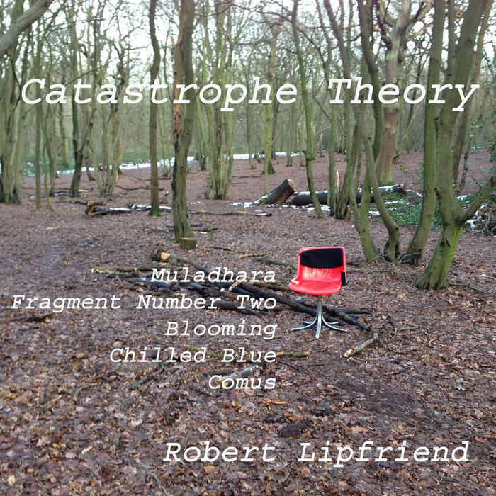 Catastrophe Theory | robert lipfriend