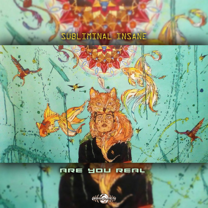 LP. ARE YOU REAL | SBMNL aka Subliminal Insane