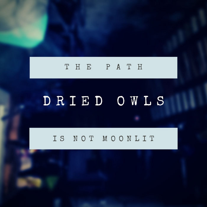 The Path Is Not Moonlit | Dried Owls