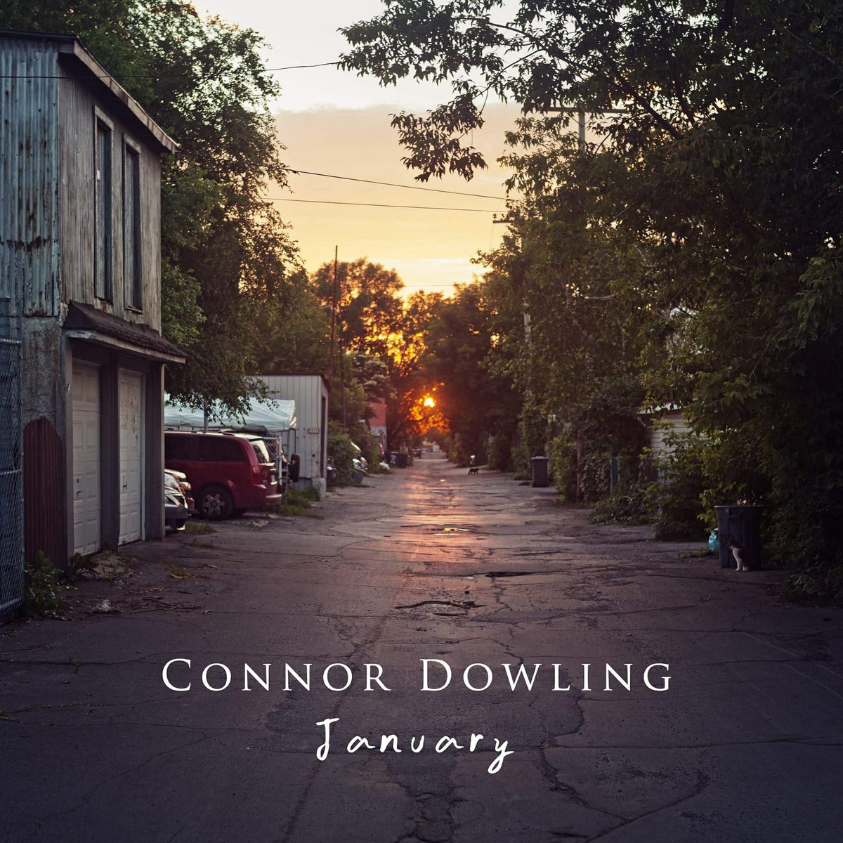 January | Connor Dowling