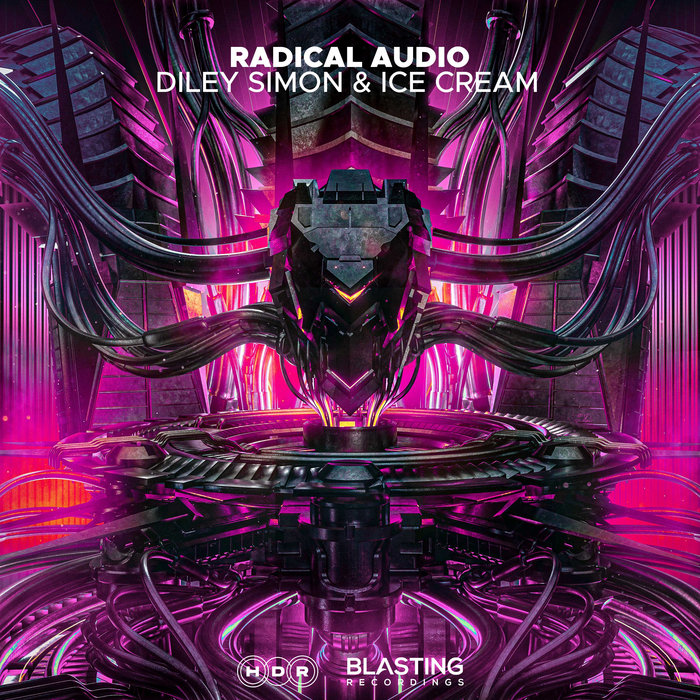 Radical Audio | Diley Simon
