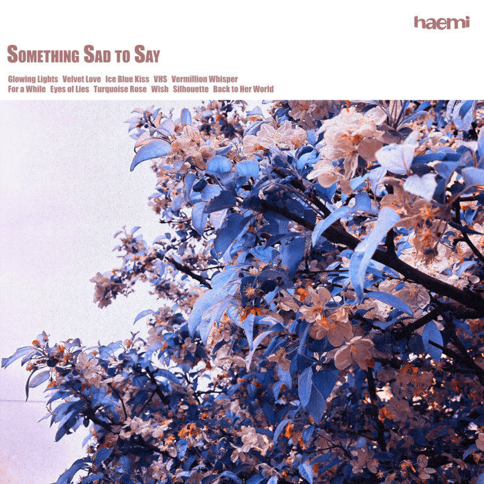 Something Sad to Say | Haemi